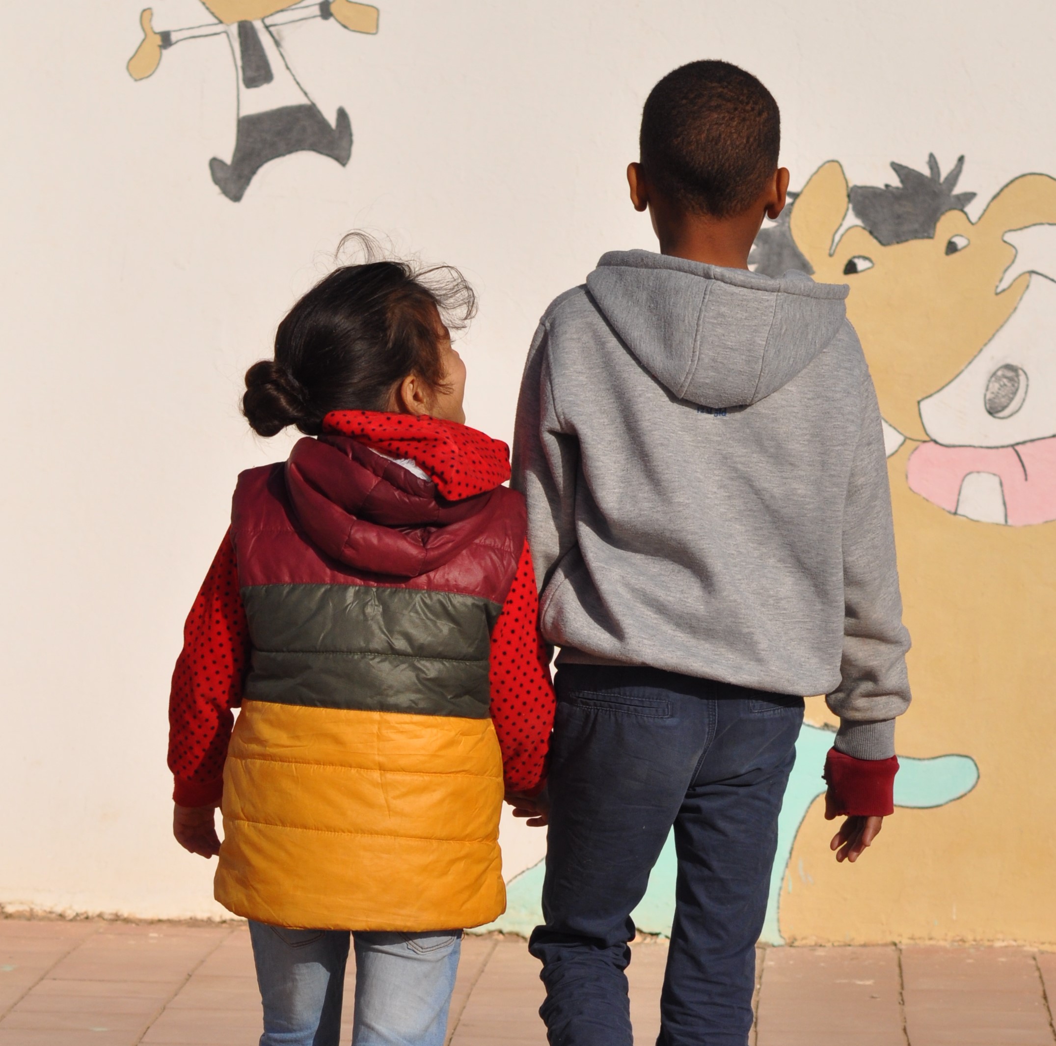 Challenges - FAPE | FAPE